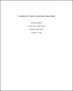 APA Assignment: General Page Format Requirements – An APA Guide for ...