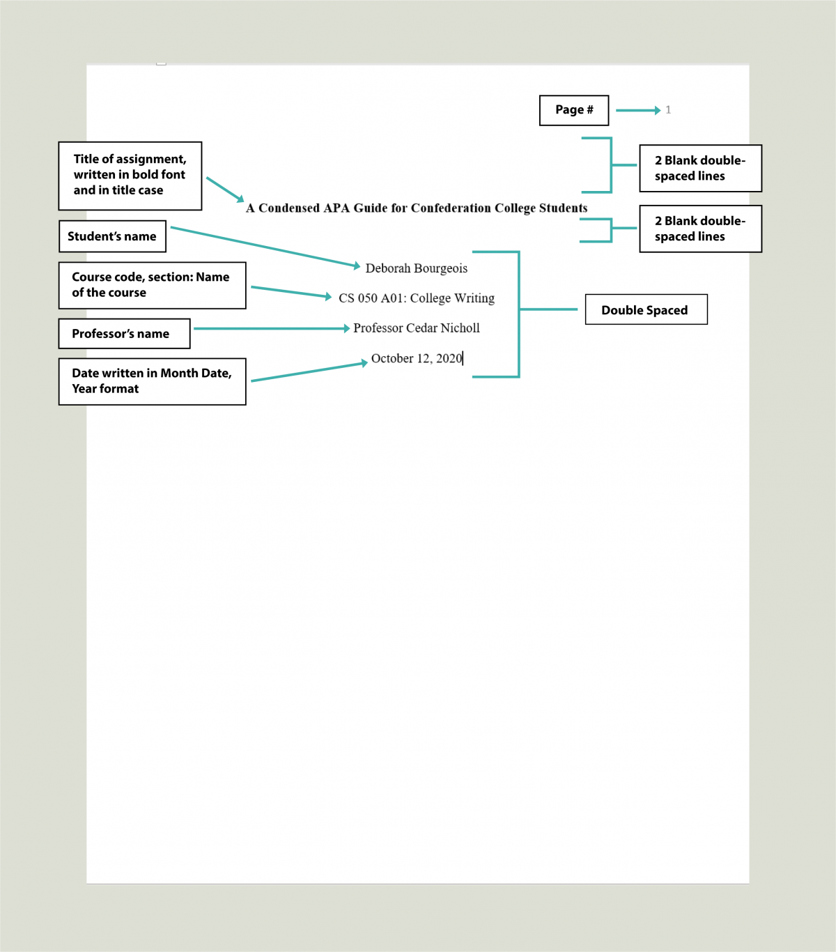 APA Assignment: General Page Format Requirements – An APA Guide for ...